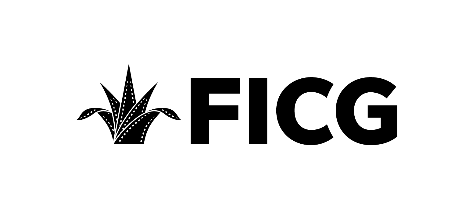 Manual diseño FICG 40 - Festival Internacional de Cine en Guadalajara